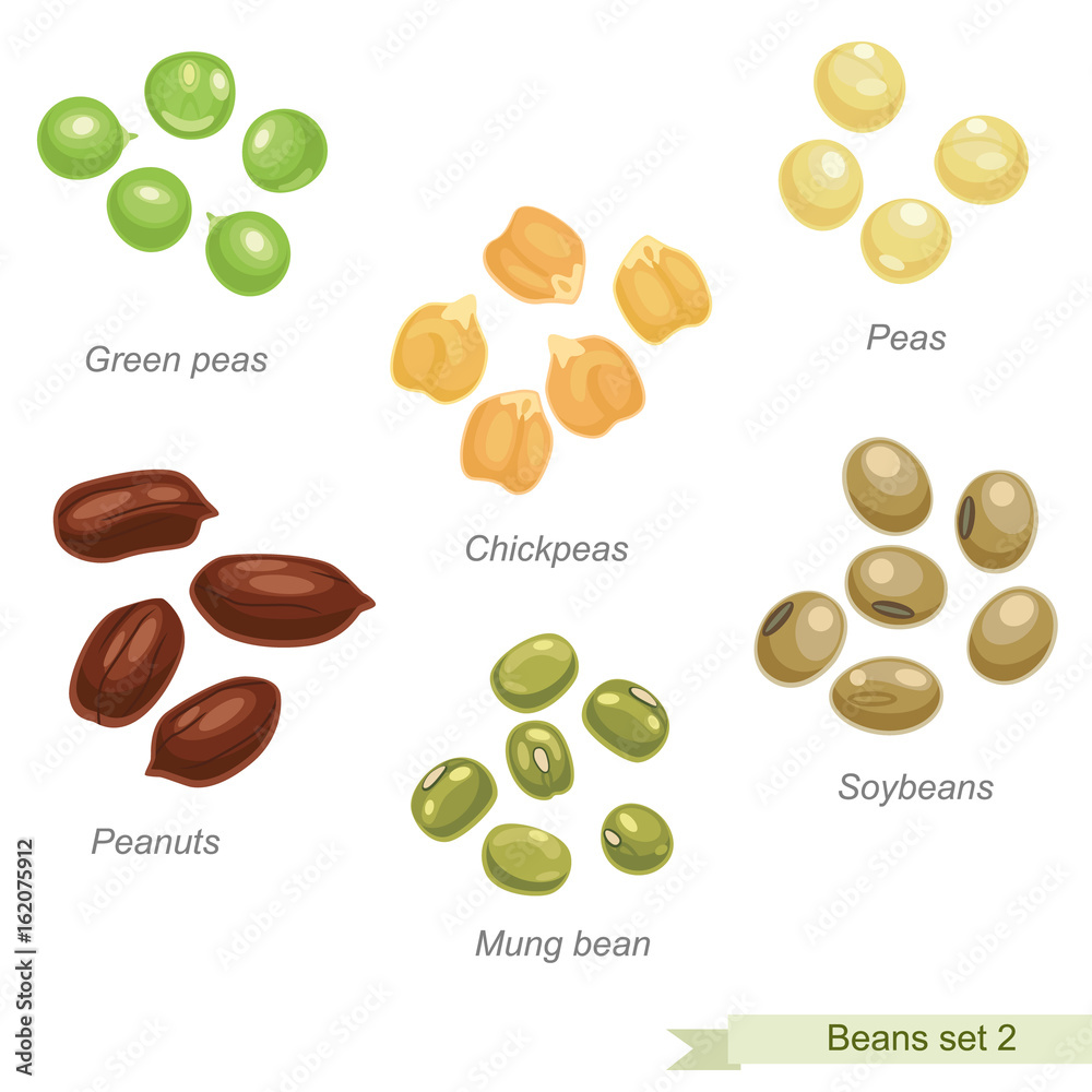 Beans and peas second icon set / Solid fill vector icons set with names ...