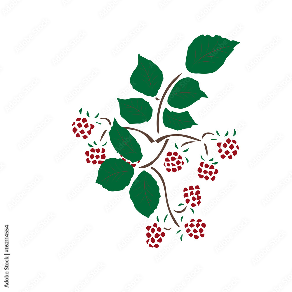 raspberry colored silhouette Stock Illustration | Adobe Stock