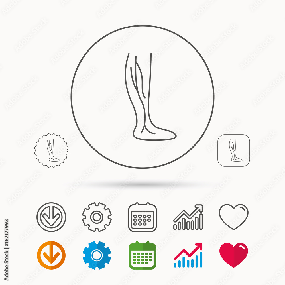 Phlebology icon. Leg veins sign. Varicose or thrombosis symbol ...