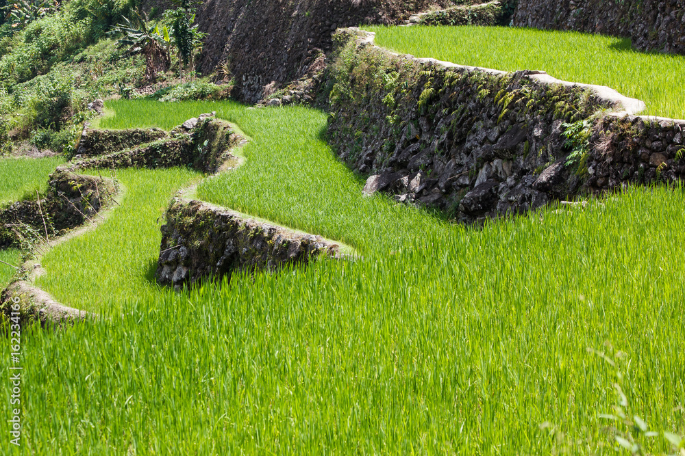 Batad rice field terraces in Ifugao province, Banaue, Philippines Stock ...