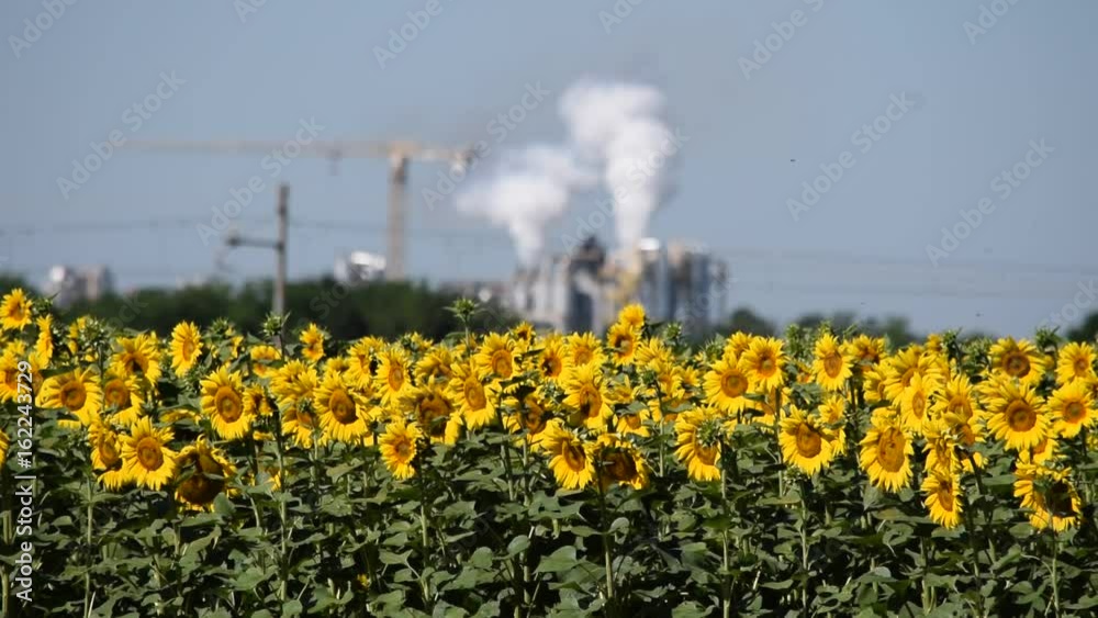 Kweekhuiseffek Effetto serra Efecto invernadero Treibhauseffekt ...