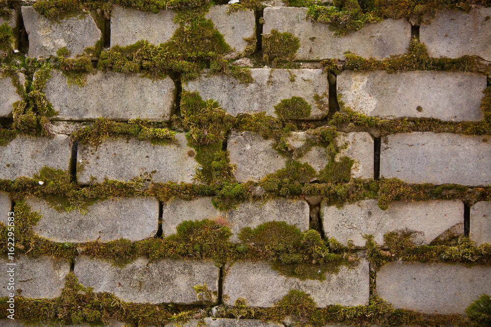 Beautiful background image with brick wall and moss Stock Photo | Adobe ...