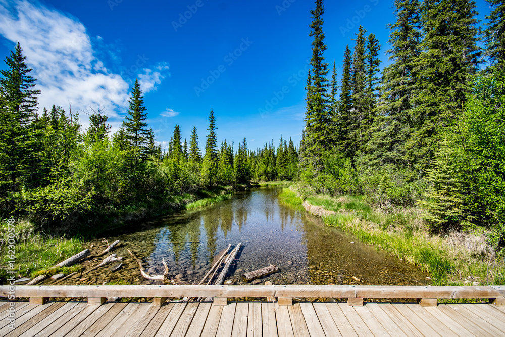 Griffith Woods Park Stock Photo | Adobe Stock
