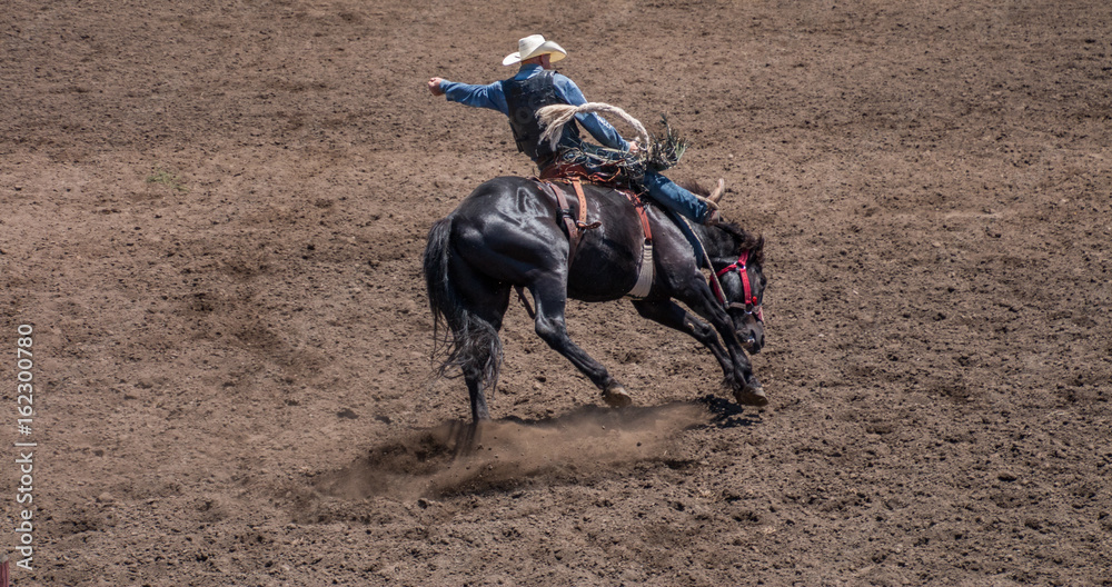 Bucking Bronco Stock Photo | Adobe Stock