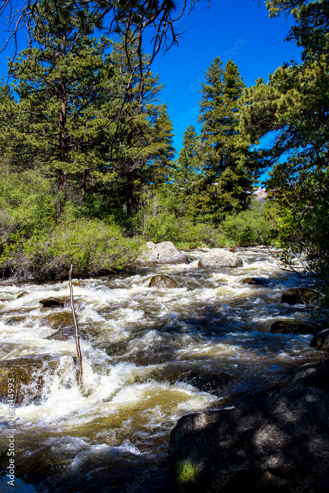 Water from snow melt surges through Mill Creek in June in Rocky ...