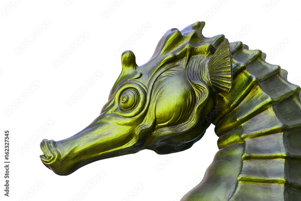 Close up - Head of the seahorse on isolated white background Stock ...