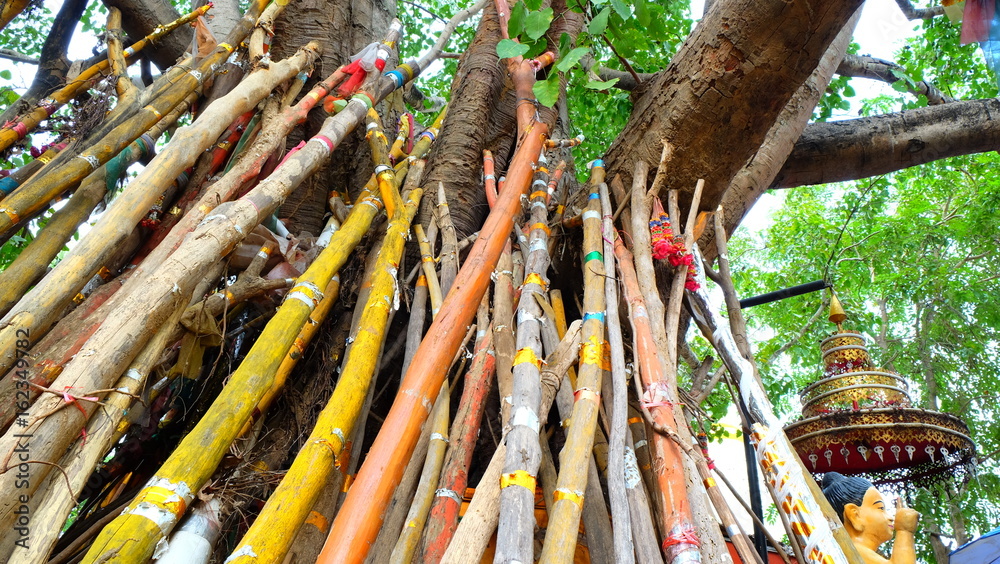 long wood for support big tree. Thai culture on The north of Thailand ...