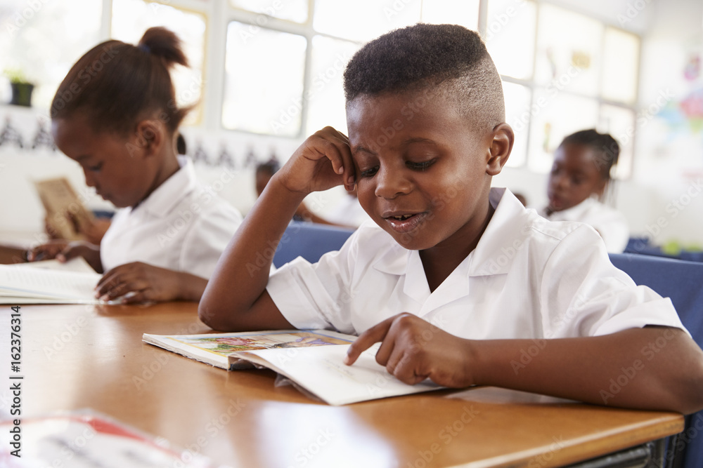 Elementary school boy reading a book at his desk in class Stock Photo ...