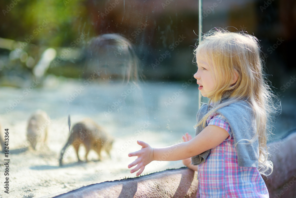 Cute little girl watching animals in the zoo on summer day. Child ...