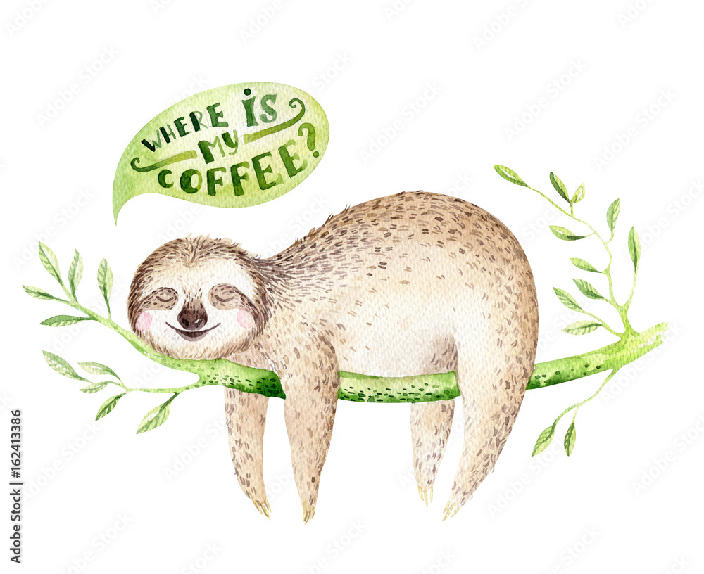 Baby animals sloth nursery isolated painting. Watercolor boho tropical ...