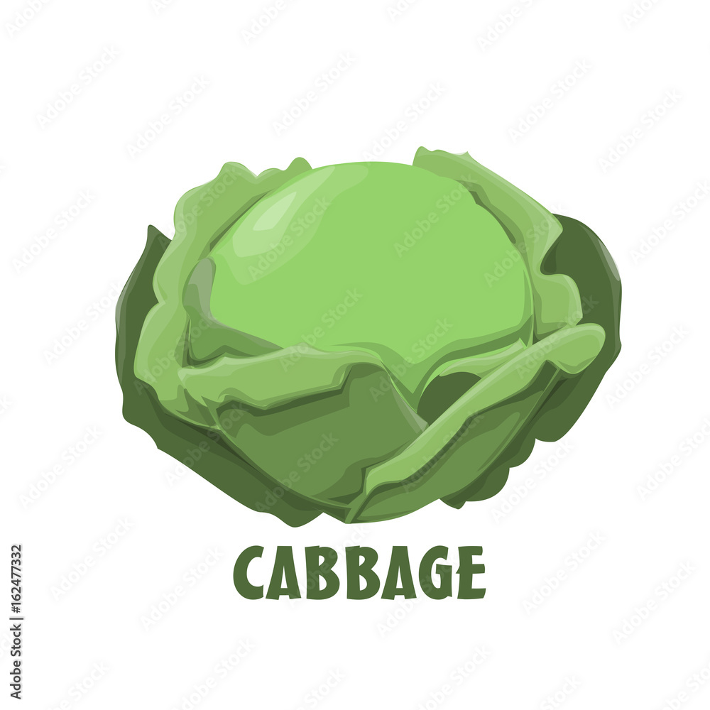 Vetor de Logo Cabbage vector farm design do Stock | Adobe Stock