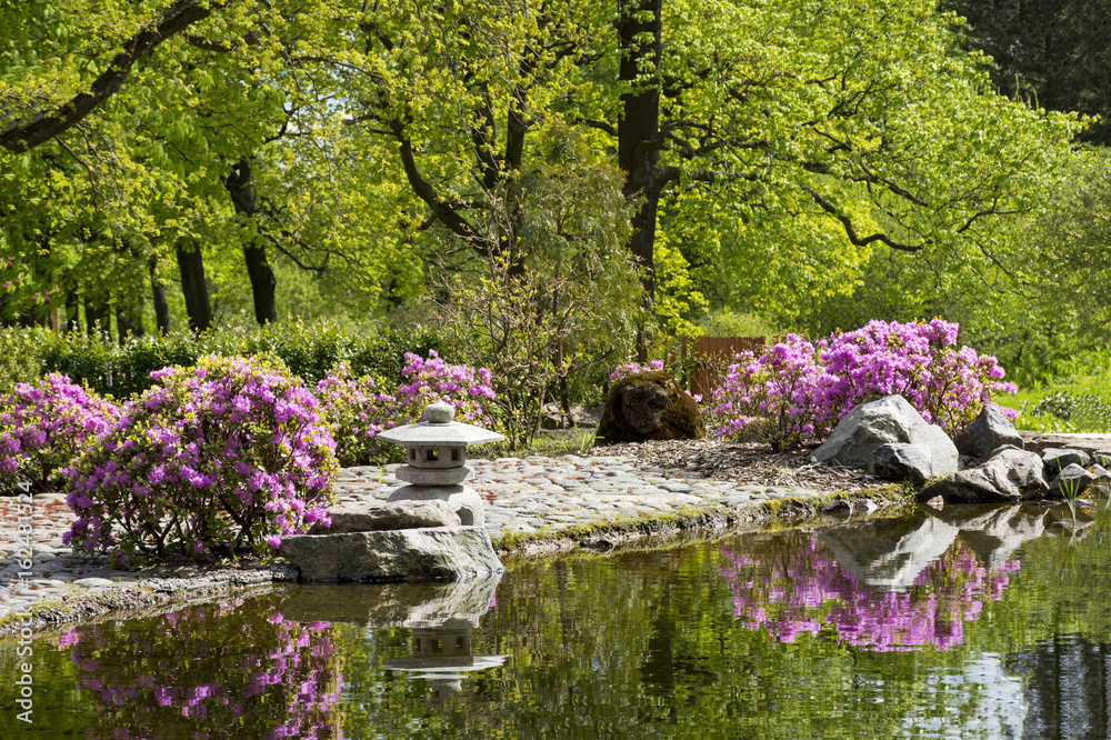 Japanese Water Garden Pink