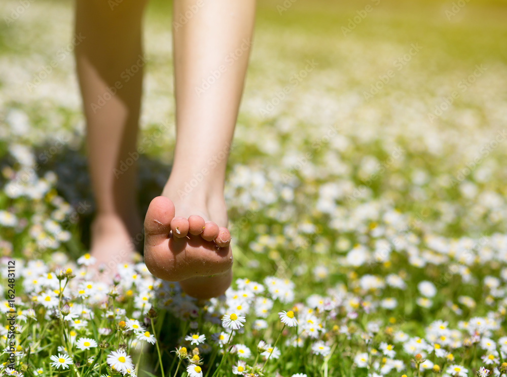 Child's feet in daisy closeup view. Shoeless boy walking on spring ...