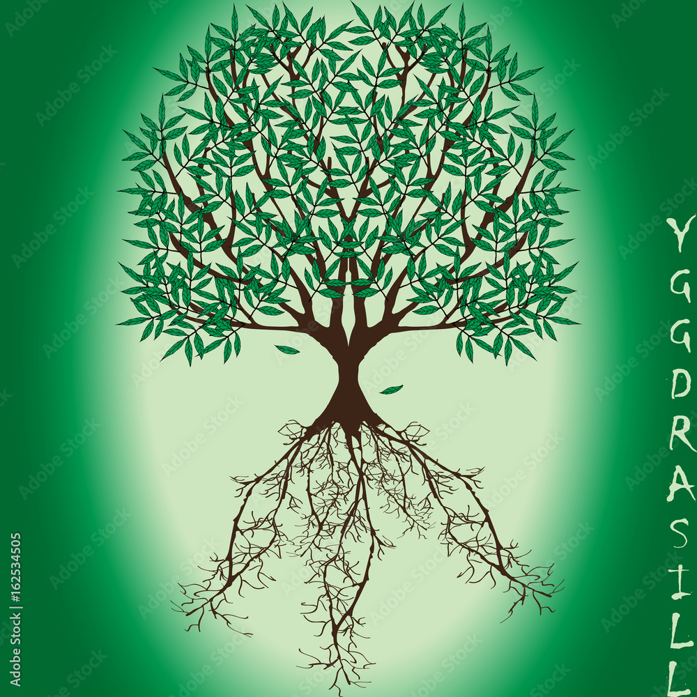 Yggdrasil – vector World tree from Scandinavian mythology. Ash ...