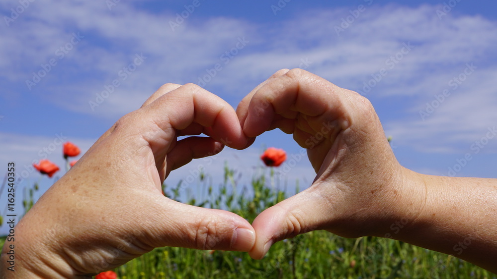 Hand und Herz Stock Photo | Adobe Stock