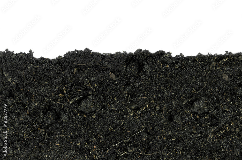Close-up of organic soil on white background (soil, earth, ground ...