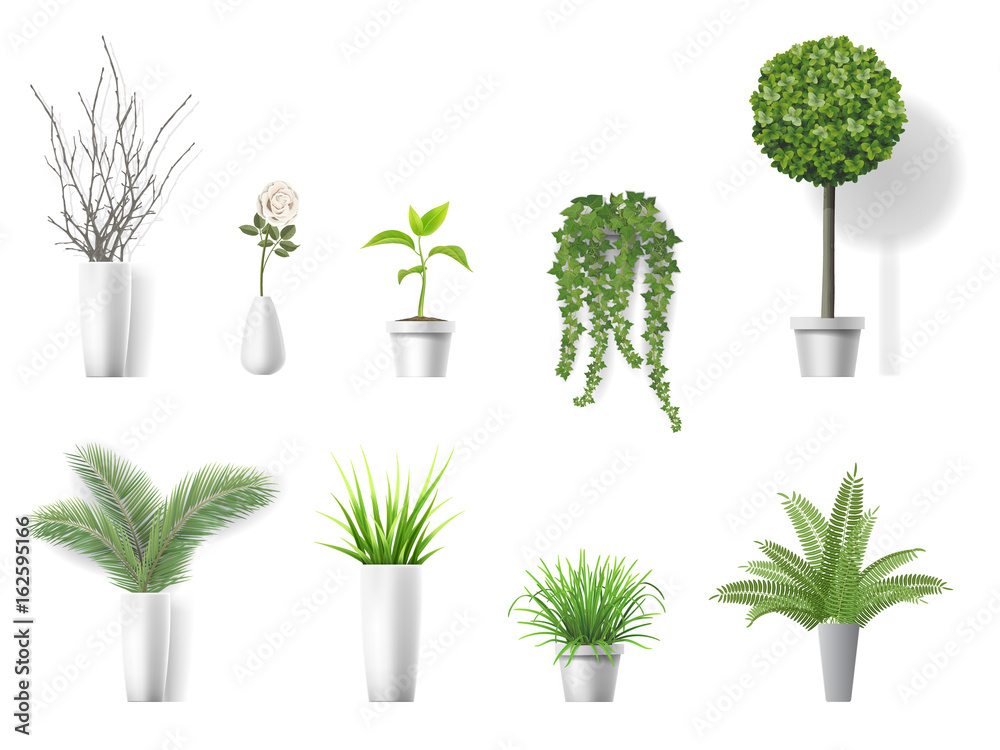 Set of vector realistic detailed house plant for interior design and ...