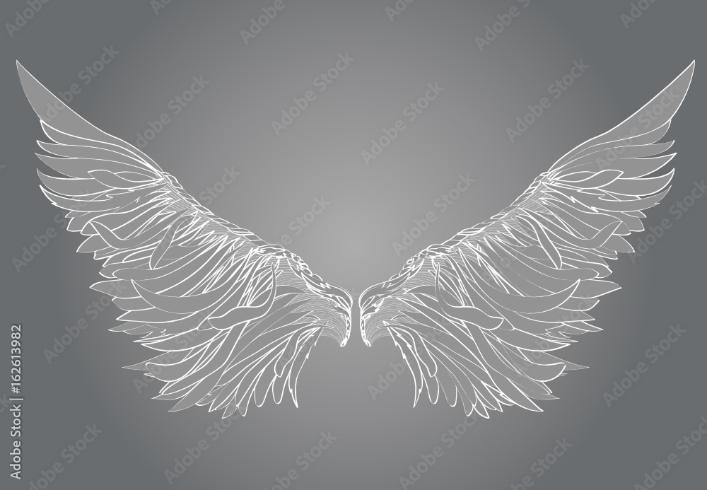 Wings. Vector illustration. Black and white style Stock Vector | Adobe ...