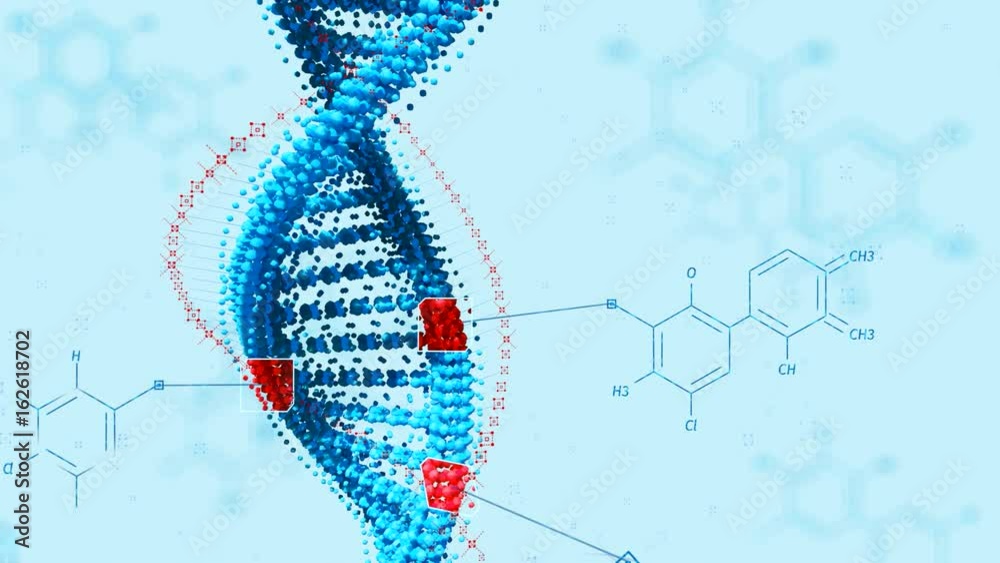 Biological engineering gene modification GMO genetically modified ...