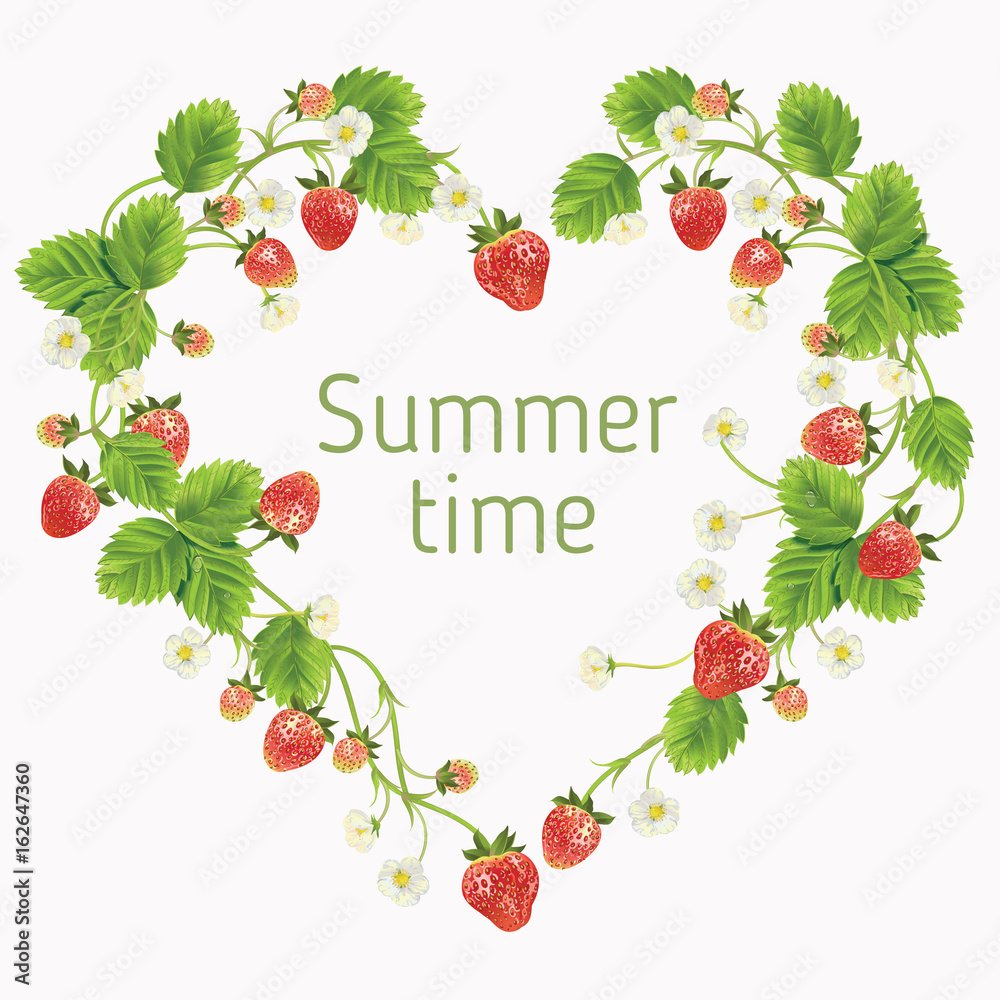 beautiful strawberries. vector illustration of a realistic Stock Vector ...