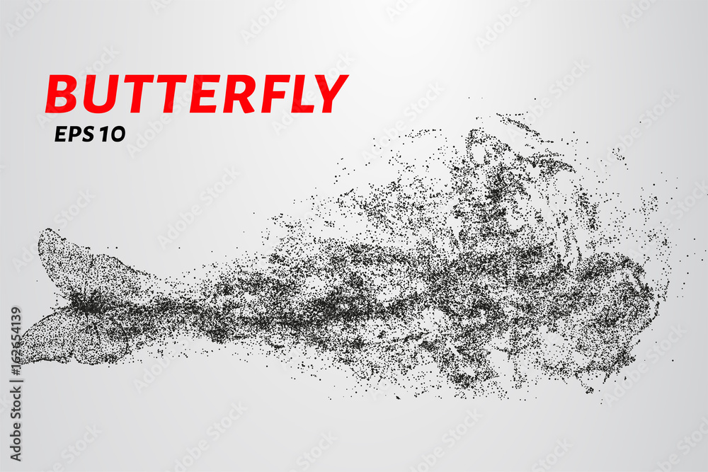 Butterfly of the particles. The butterfly consists of circles and ...