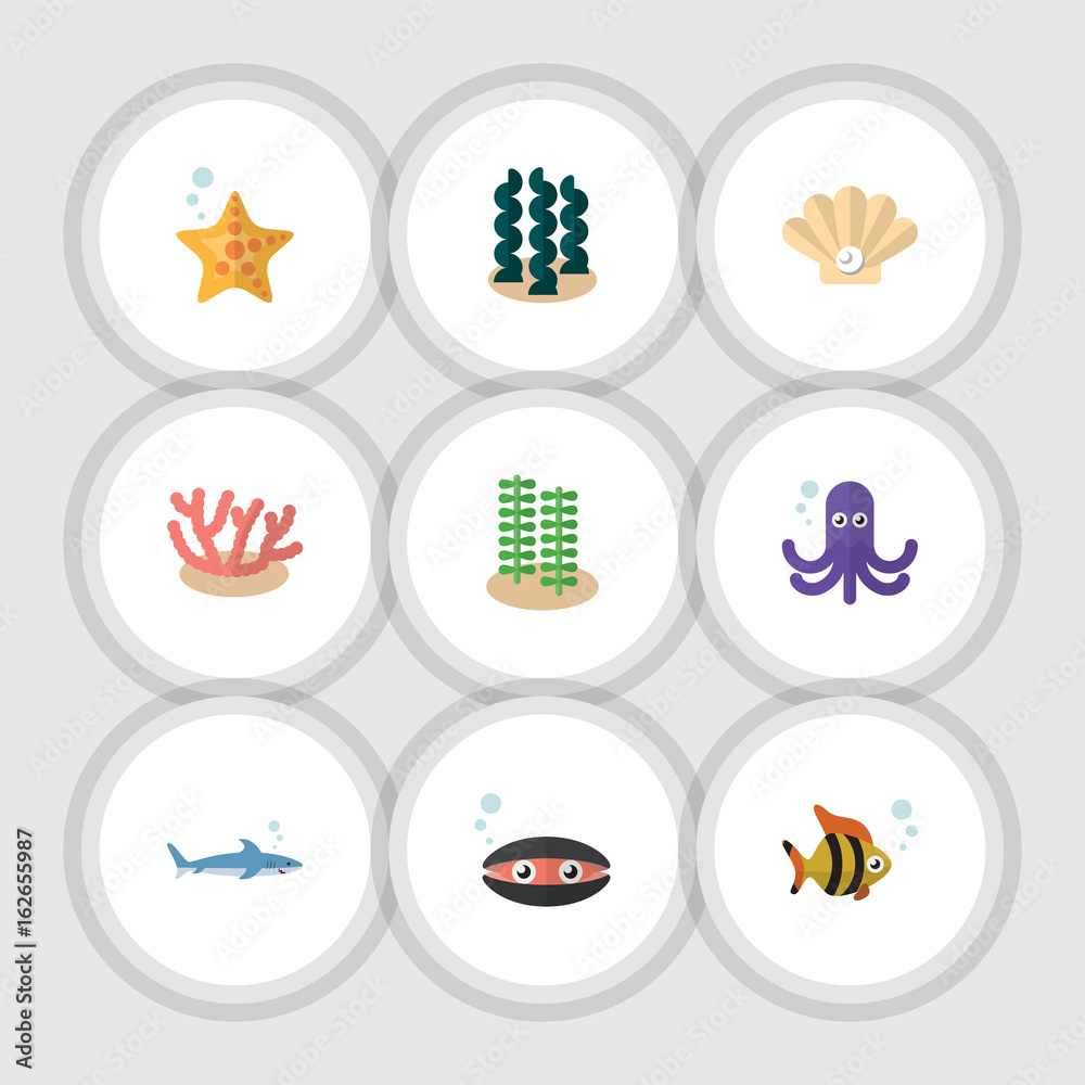 Flat Icon Nature Set Of Tentacle, Conch, Alga And Other Vector Objects ...