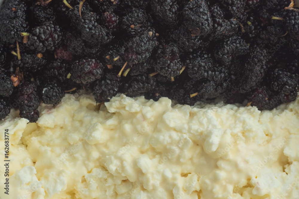 Morus nigra called Mulberry with black color and cottage cheese ...