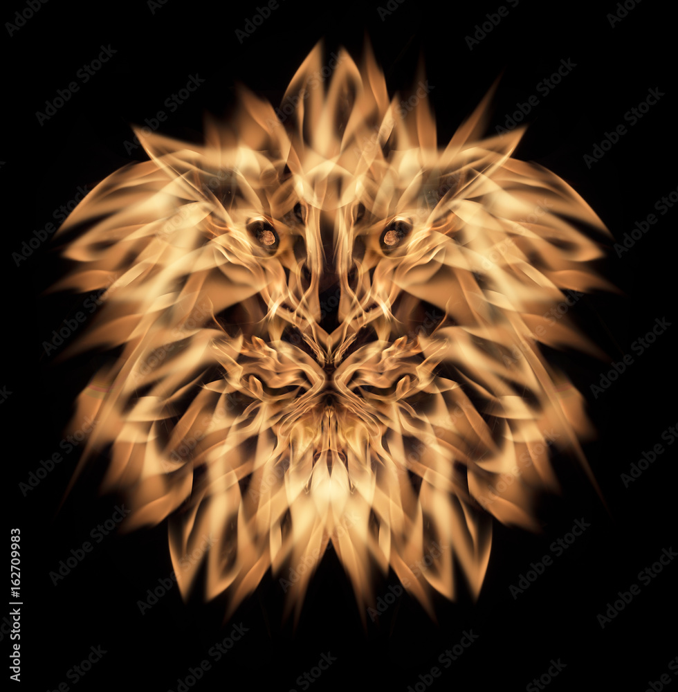 Lion drawing with fire effect structure on background Stock Photo ...