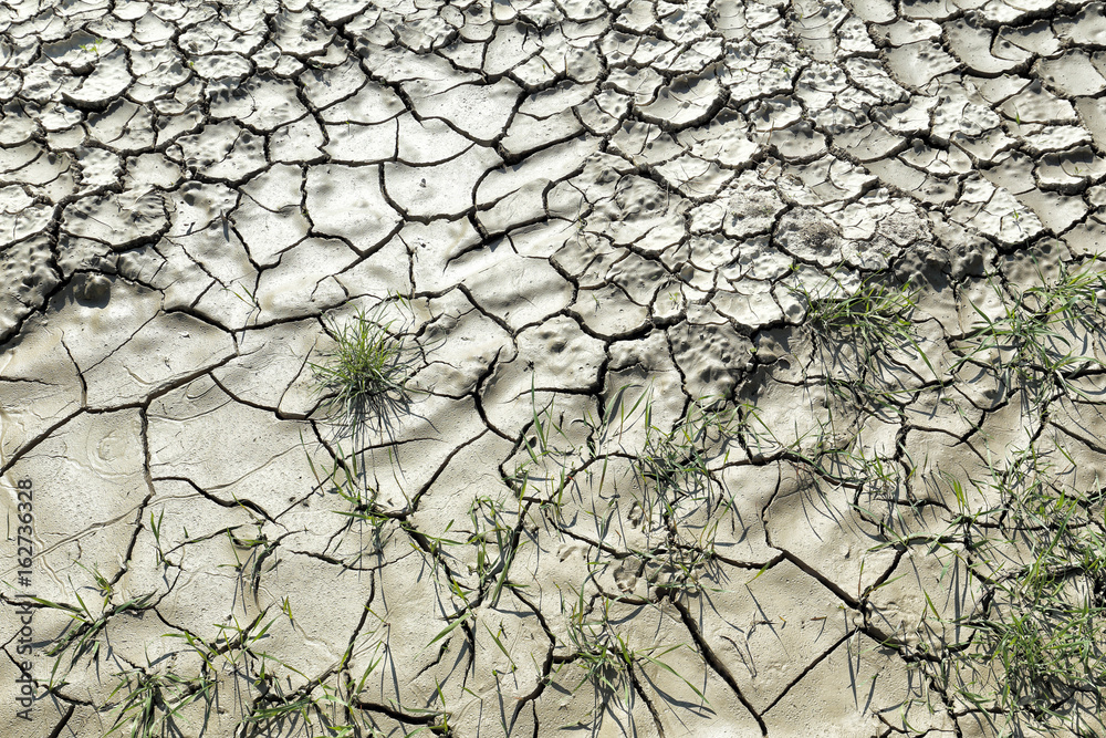 Detail of dried up and cracked field foto de Stock | Adobe Stock