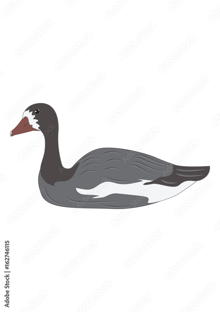Goose wild isolated on white background art creative modern vector ...