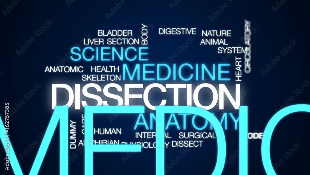 Dissection animated word cloud, text design animation. Stock Video ...