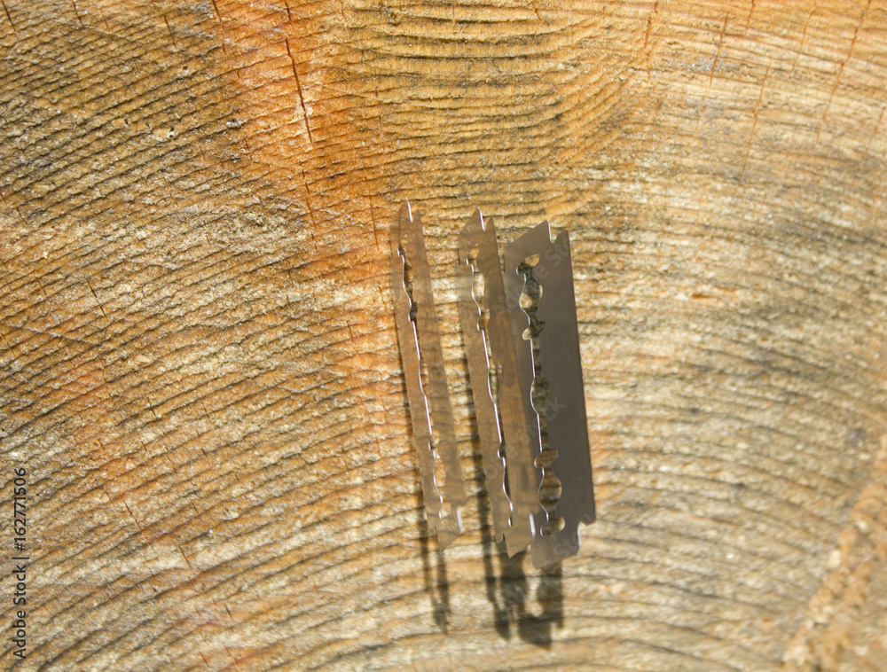 razor blades in the tree Stock Photo | Adobe Stock