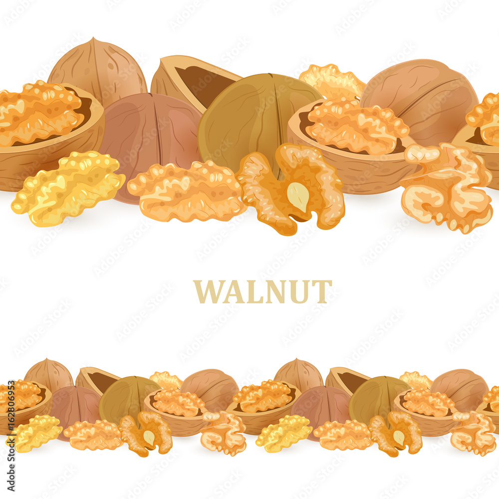 collection of seamless borders with walnuts for your design Stock ...