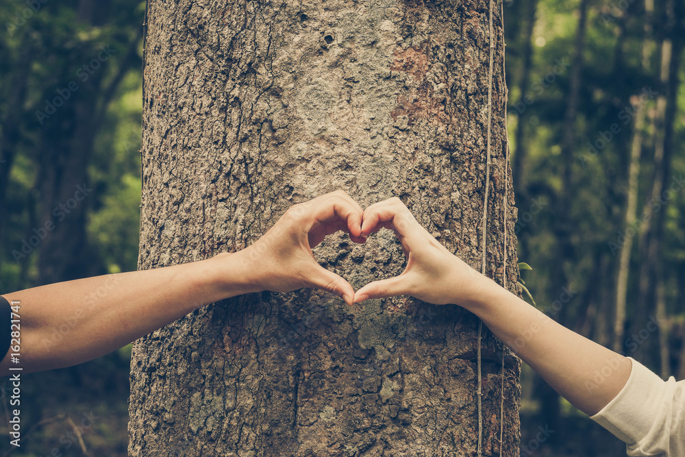 hands forming a heart shape around a big tree - protecting and love ...