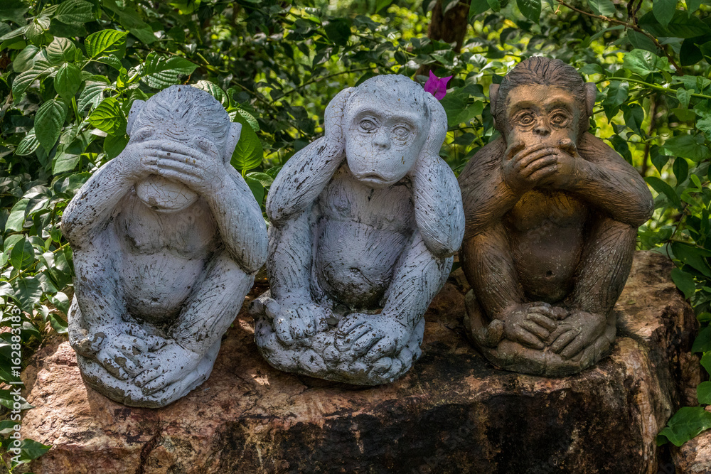 Drei Affen Stock Photo | Adobe Stock