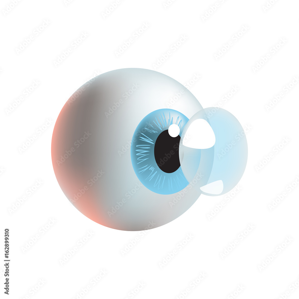 Realistic style vector illustration with eye and contact lens Stock ...