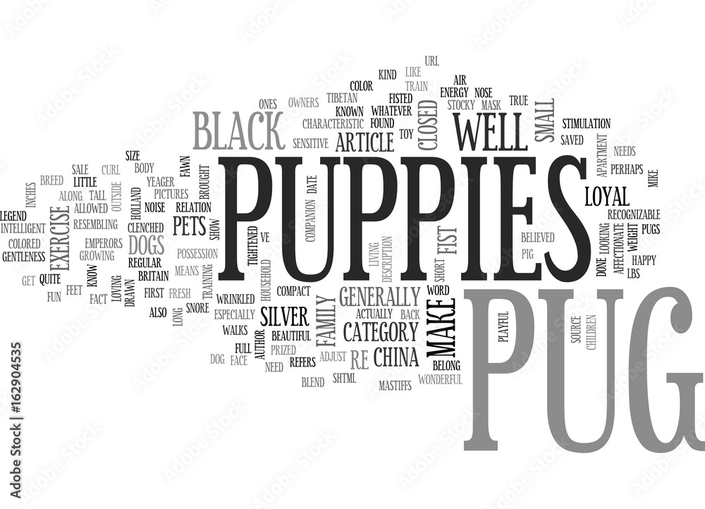 WHAT ARE THE DIFFERENCES BETWEEN AN SSW MSW CSW AND LCSW TEXT WORD ...