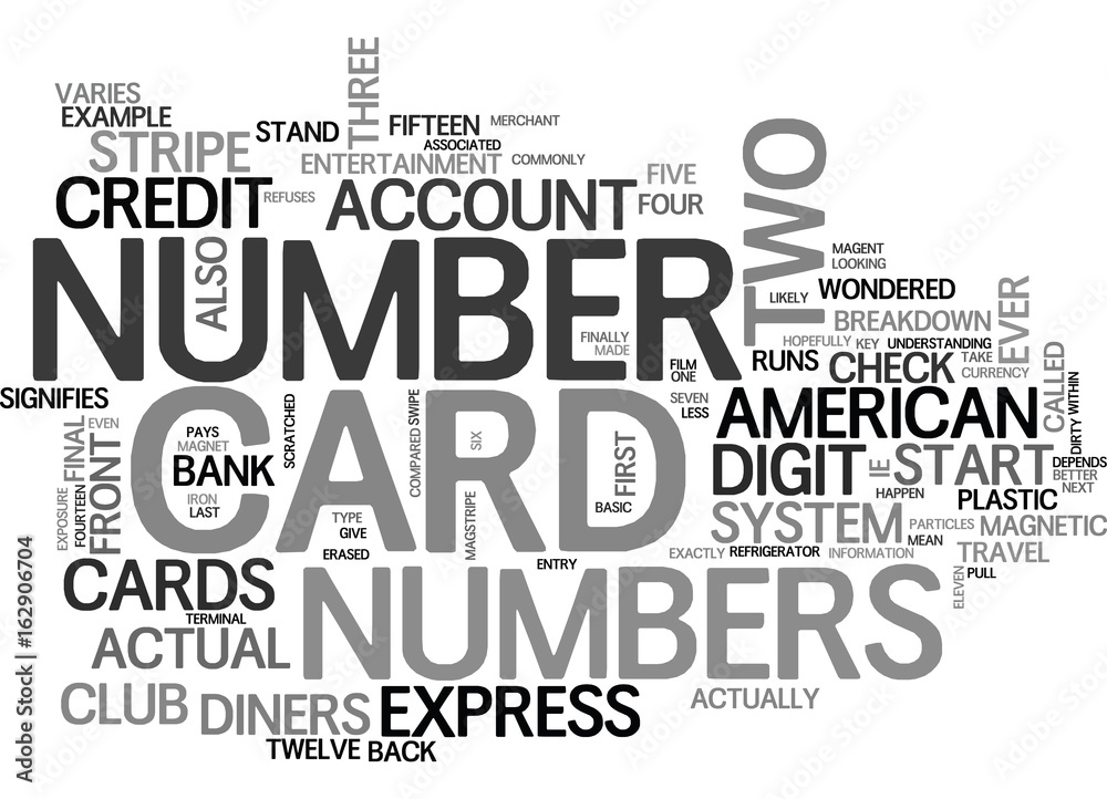 WHAT EXACTLY DO THE NUMBERS ON THE FRONT OF YOUR CREDIT CARD MEAN TEXT ...