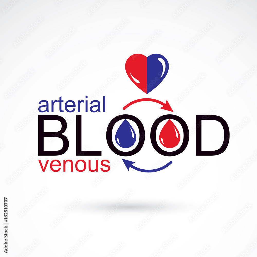 Arterial and venous blood conceptual illustration, blood circulation ...