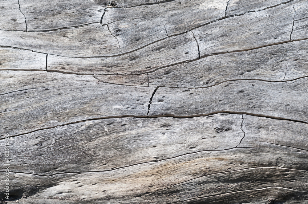 Rustic wood texture / Rustic gray wood background with structural ...