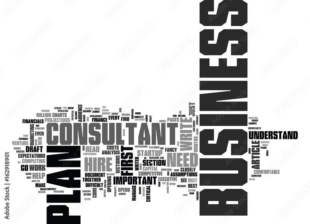 WHEN DO I NEED TO HIRE A BUSINESS PLAN CONSULTANT TEXT WORD CLOUD ...