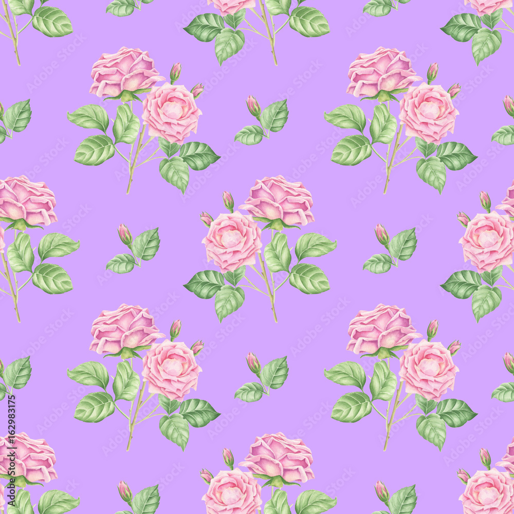 Hand drawn watercolor roses seamless background, floral botanical ...