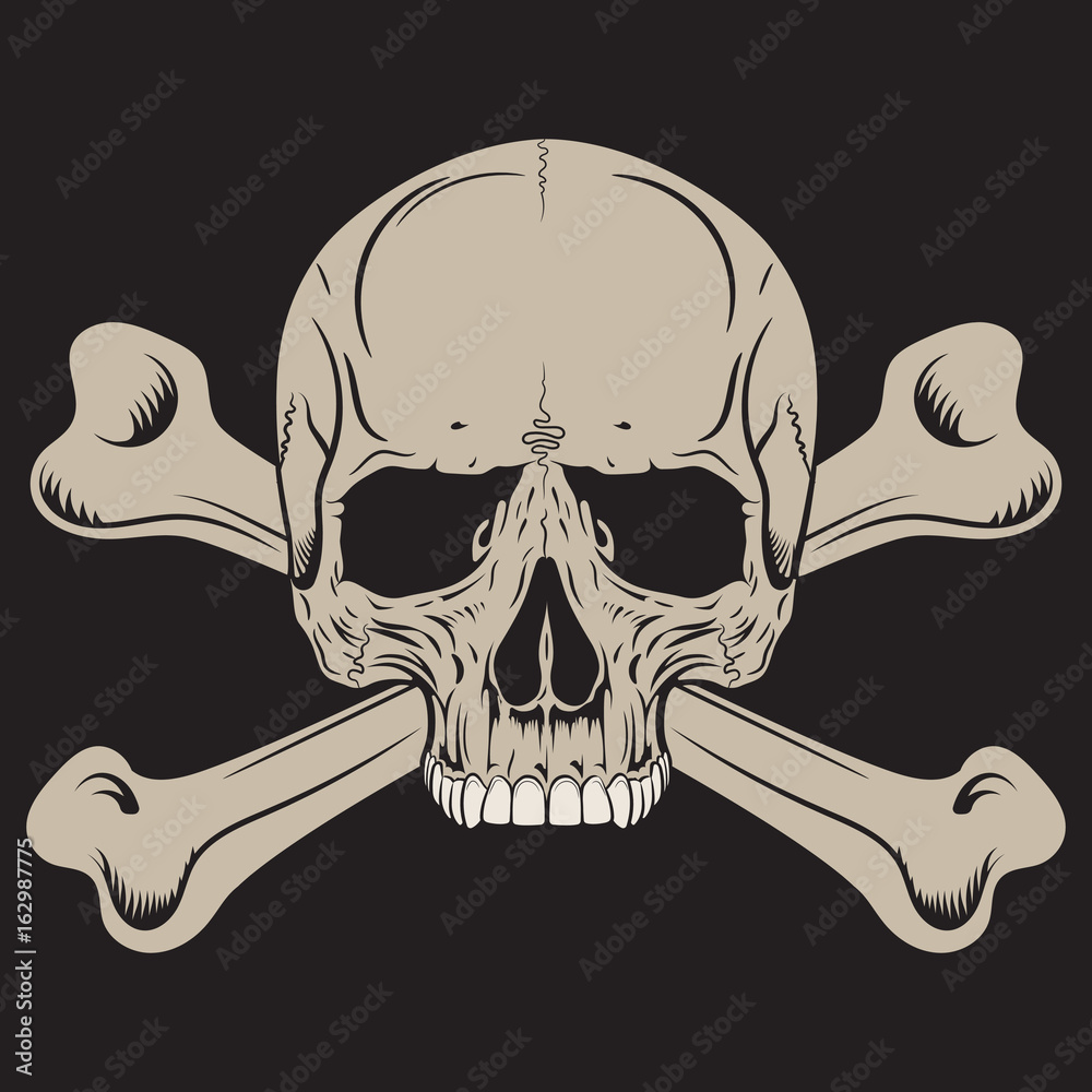 Human skull and crossbones Stock Vector | Adobe Stock