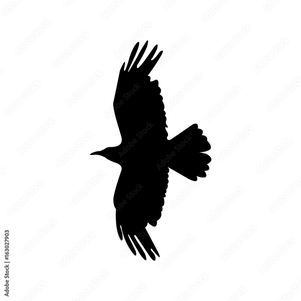 The crow icon. Bird and flight, eagle symbol. Flat Vector illustration ...