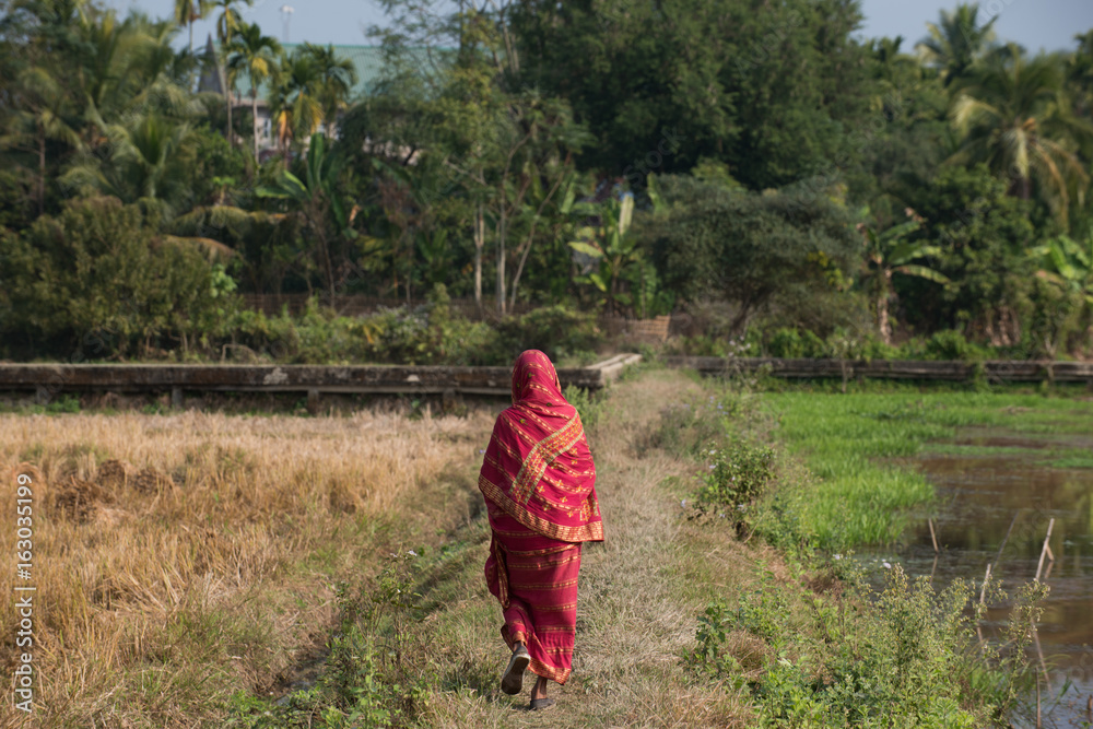Mizoram Farm Stock Photo | Adobe Stock
