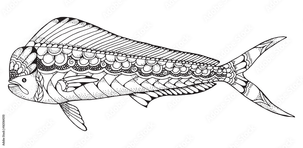 Dorado mahi mahi fish zentangle and stippled stylized vector ...