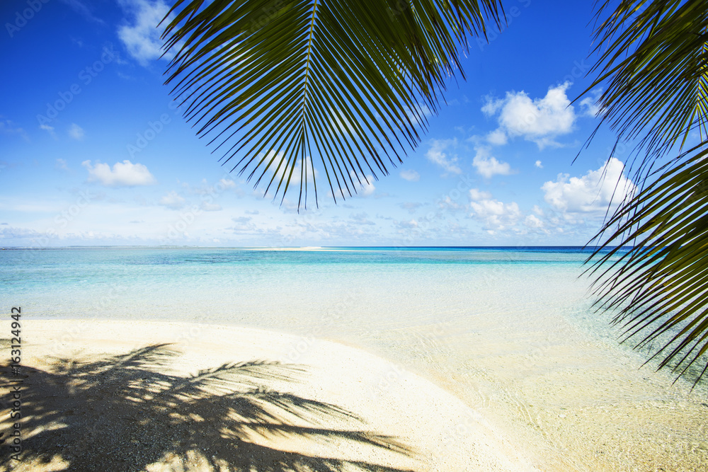 plage paradisiaque à tahiti en polynésie Stock Photo | Adobe Stock