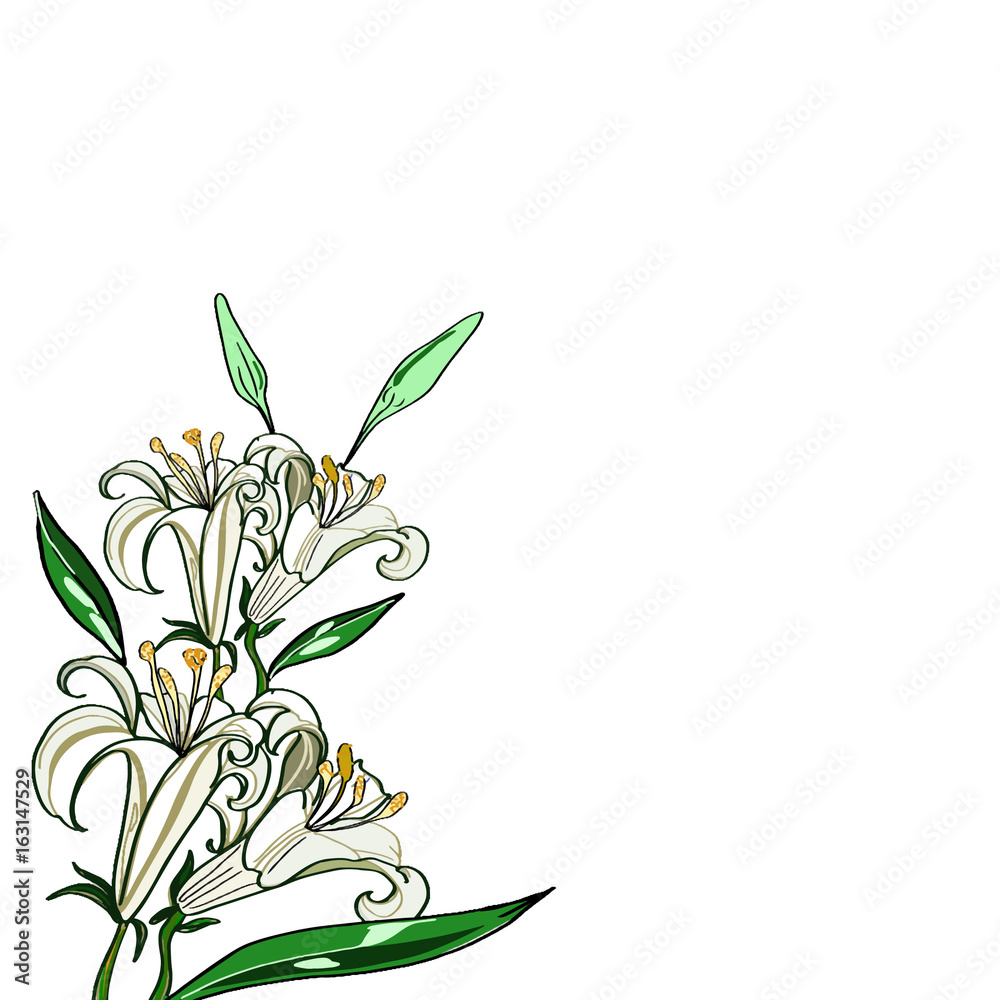 Lily flower frame Stock Illustration | Adobe Stock