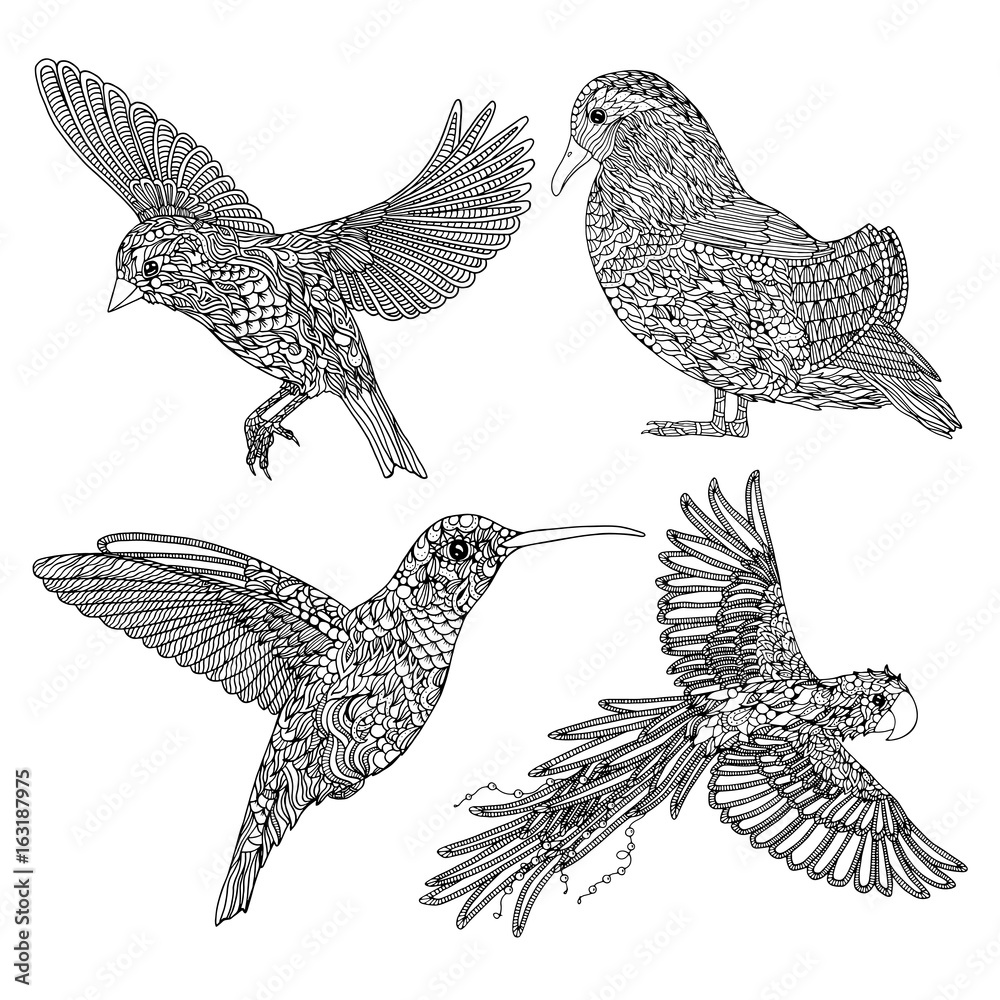 Collection of hand-drawn birds. Coloring page for adults Stock Vector ...