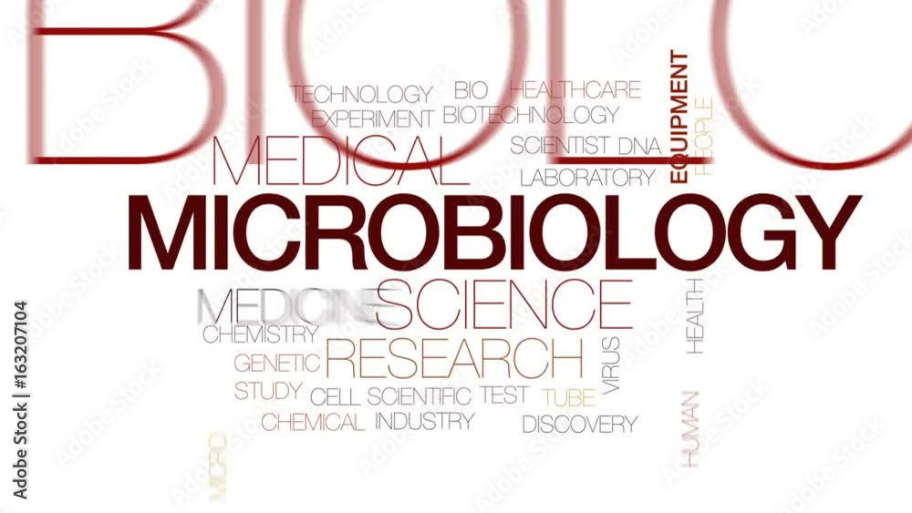 Microbiology animated word cloud, text design animation. Kinetic ...